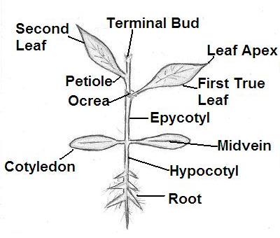 Documento sin título